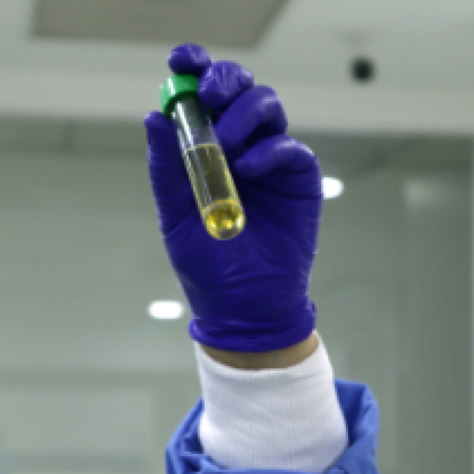 Laboratorio | Fcells